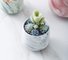 Marbled Succulent Flowerpot Mini Tripod Ceramic Flowerpot Vase supplier