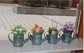 Creative Iron Watering Pot Garden Decoration supplier